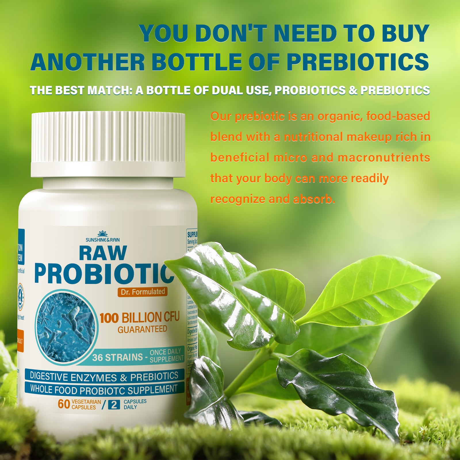 Sunshine & Rain Probiotics for Women & Men, 100 Billions CFU, 36 Strai ...